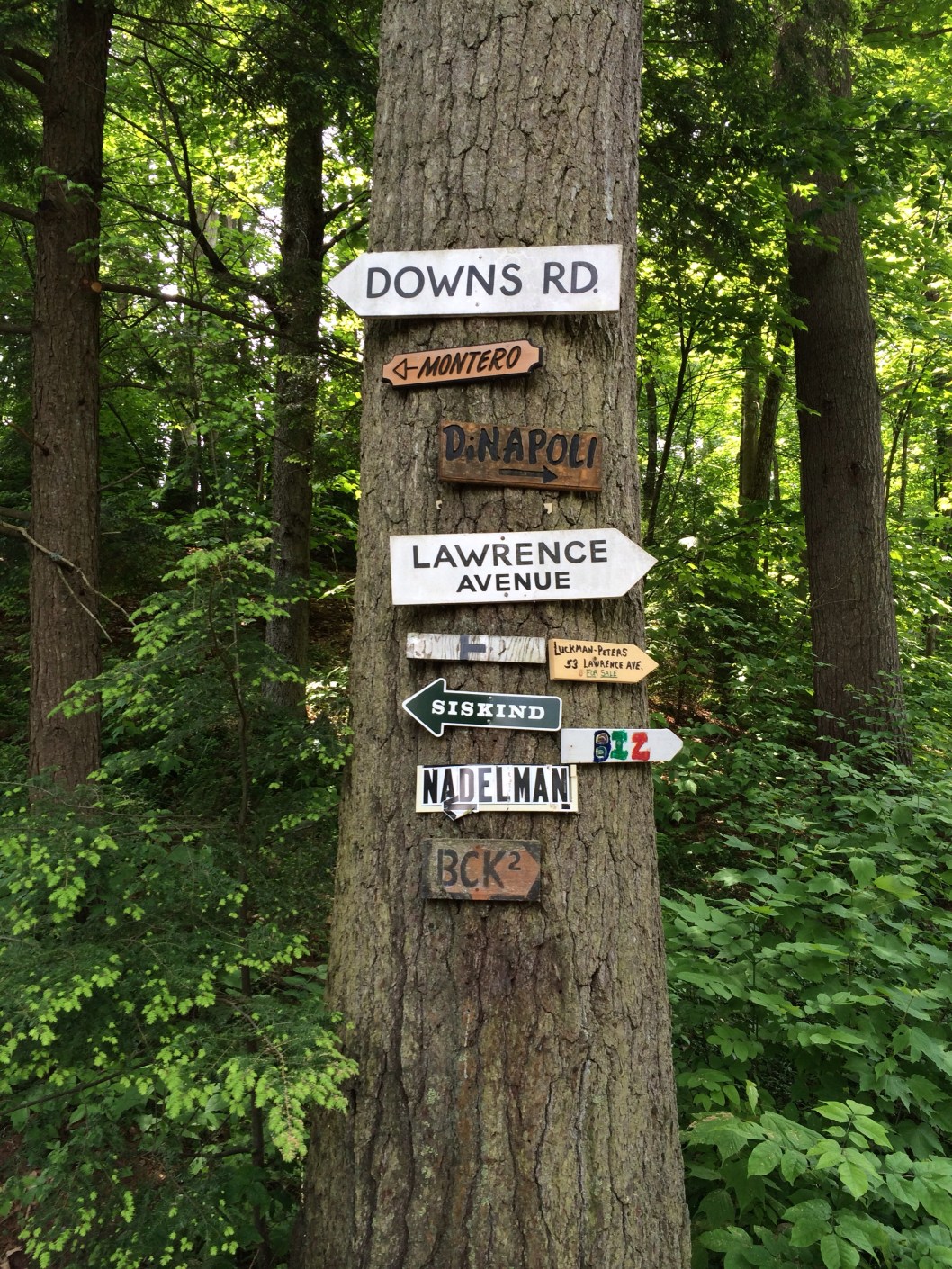 A Berkshire Morning Walk to Lake Buel | Sound Travels with Jeff von der ...